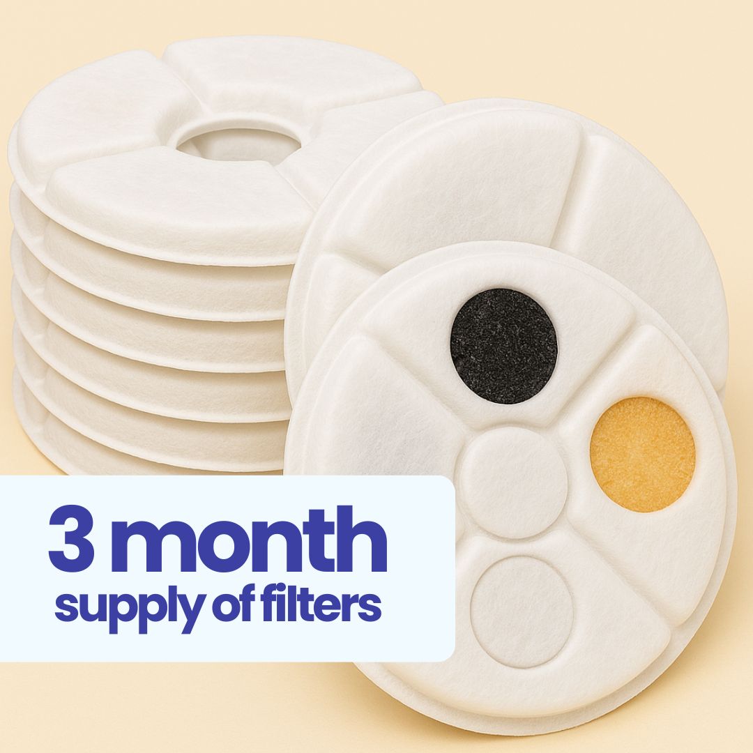 PurrHydration™ Replacement Filters (3 month supply) – Purr Heaven